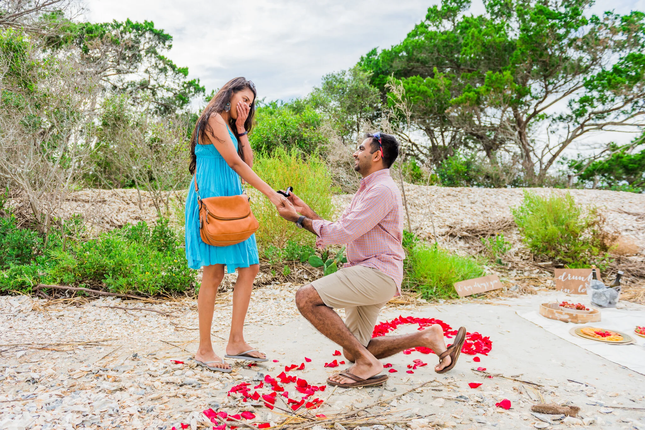 Scarlet Plan & Design