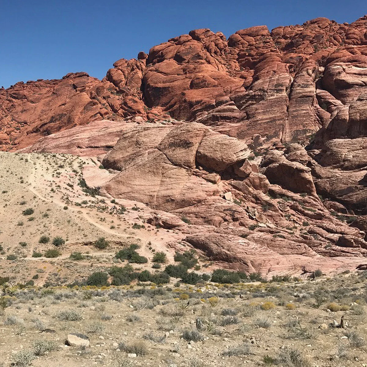 Rocky Desert Stock Photo Pack — ZENGENIUS, INC.