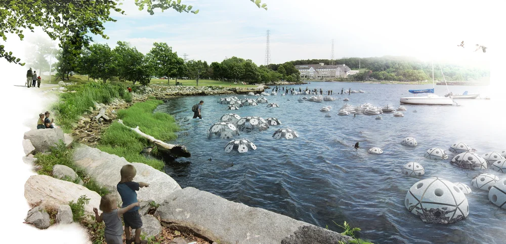 RISD OYSTERTECTURE PROJECT — DESIGN DISTILL