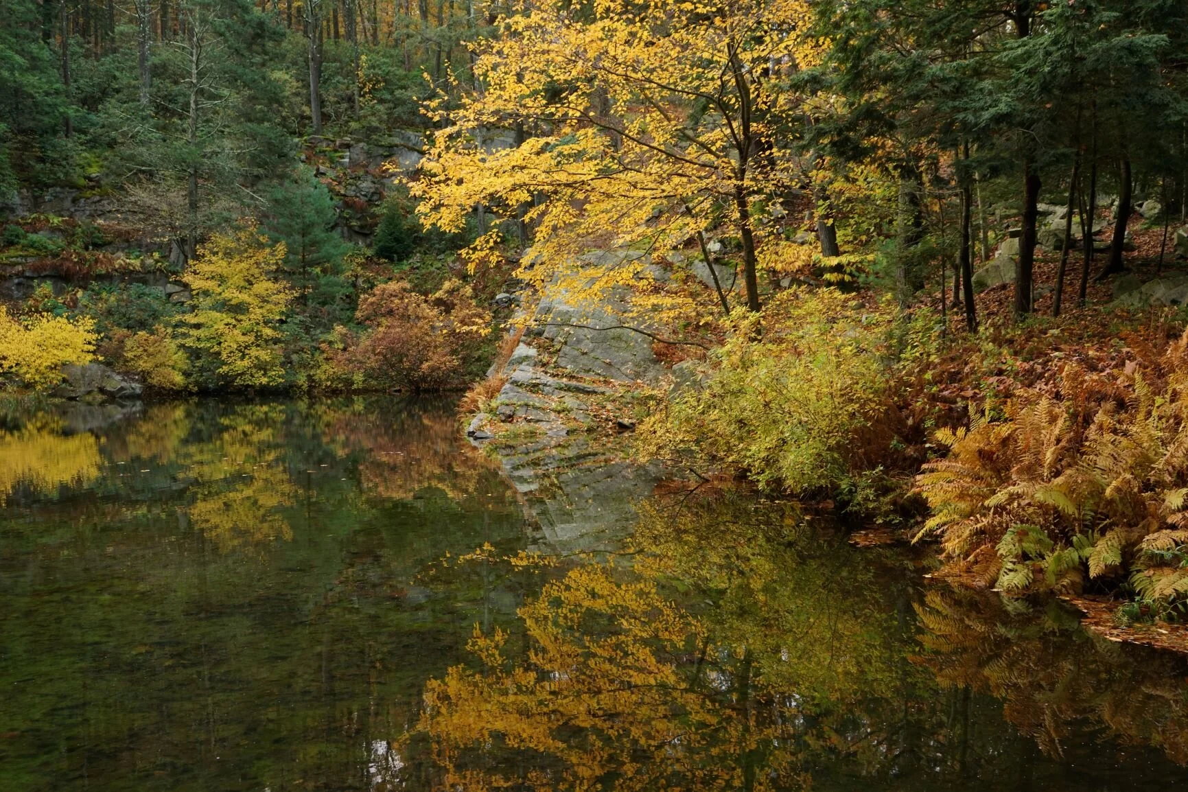 RICK DARKE — MANITOGA