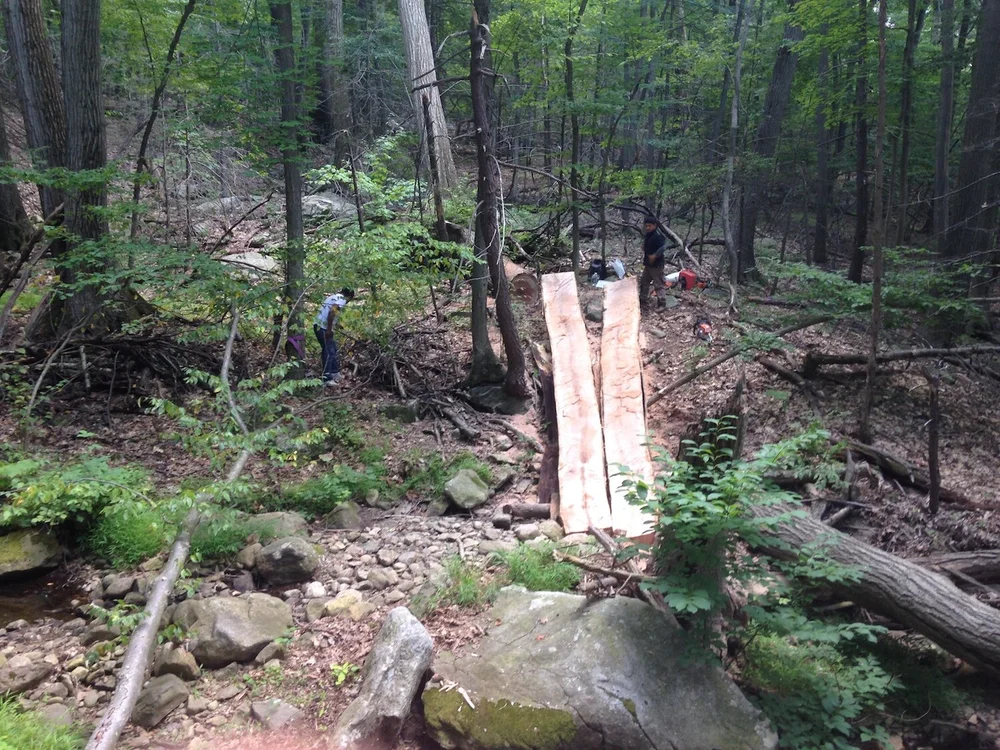 Log Bridge — MANITOGA