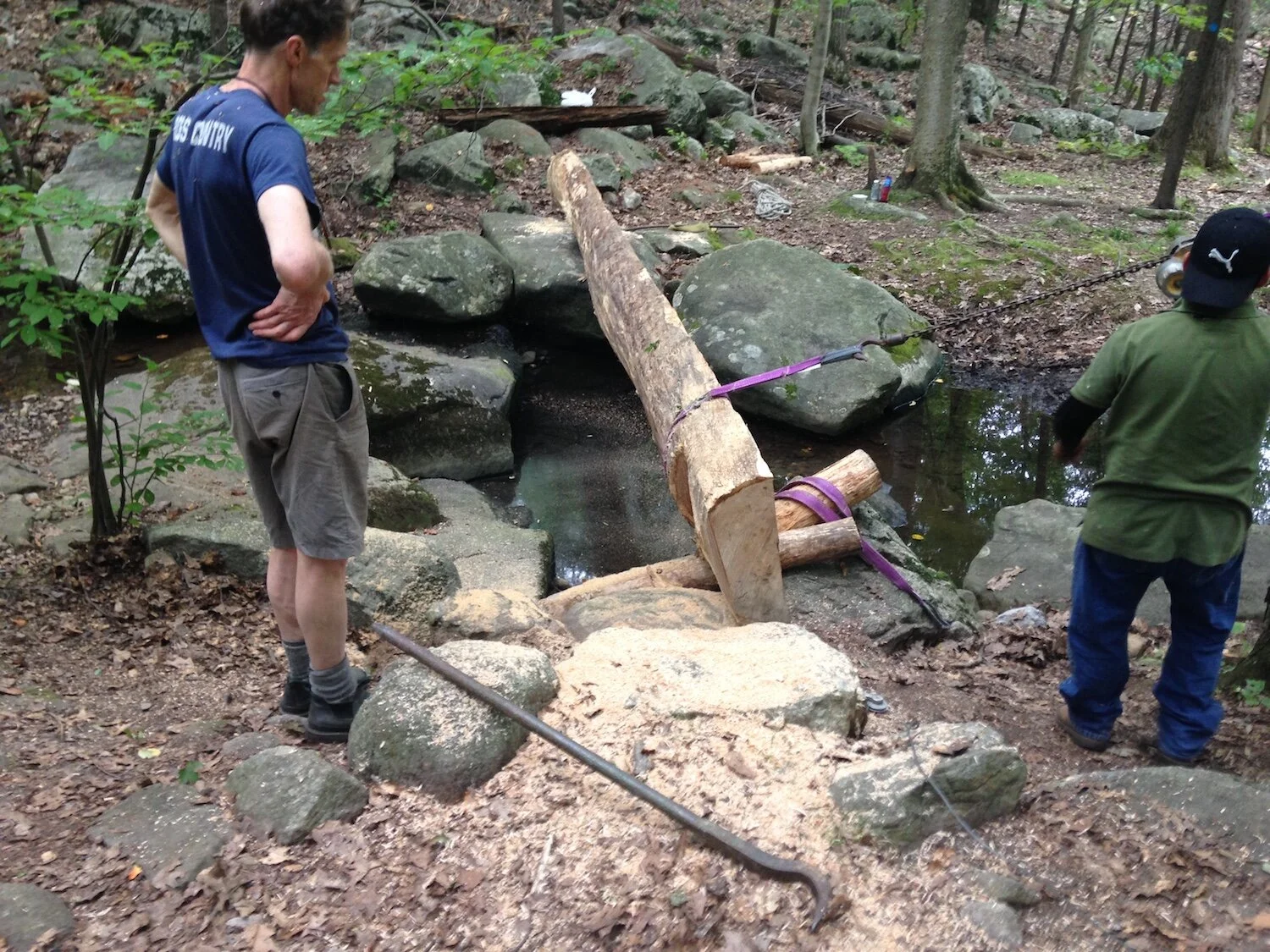 Log Bridge — MANITOGA