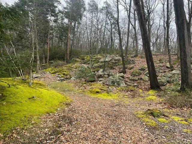 Terrain — MANITOGA