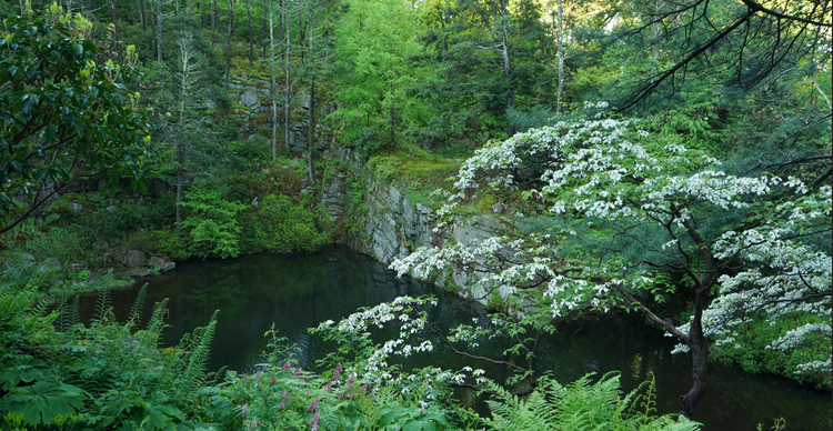 Visitor Information — MANITOGA