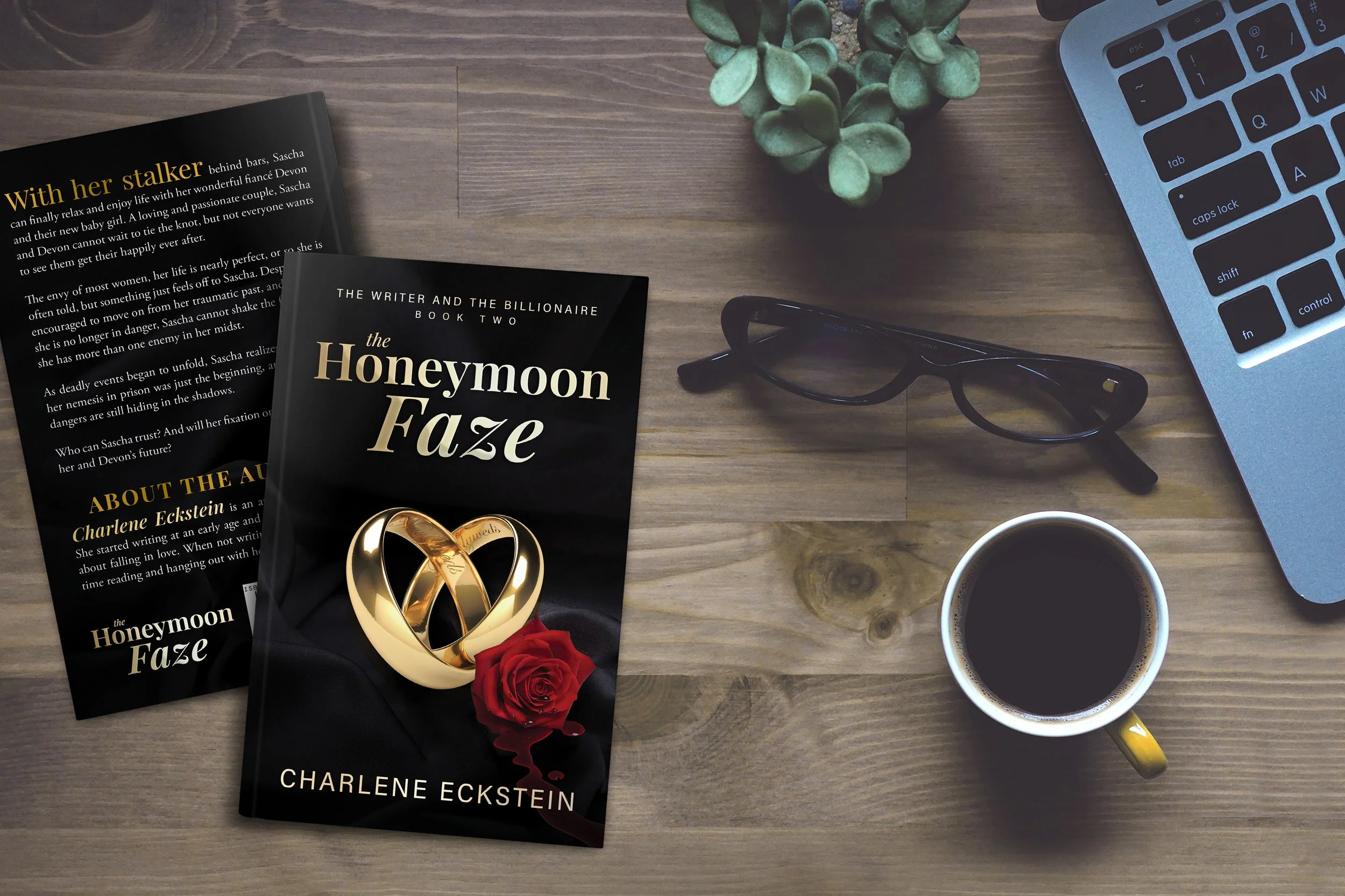 The Honeymoon Faze (Book 2)- Charley's Blog Life