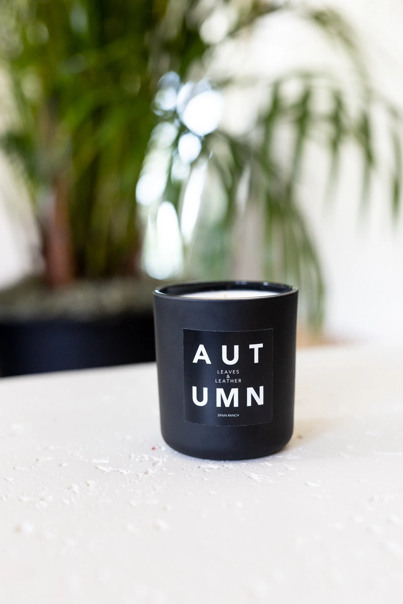 Shop Candles by Spain Ranch-SPAIN RANCH