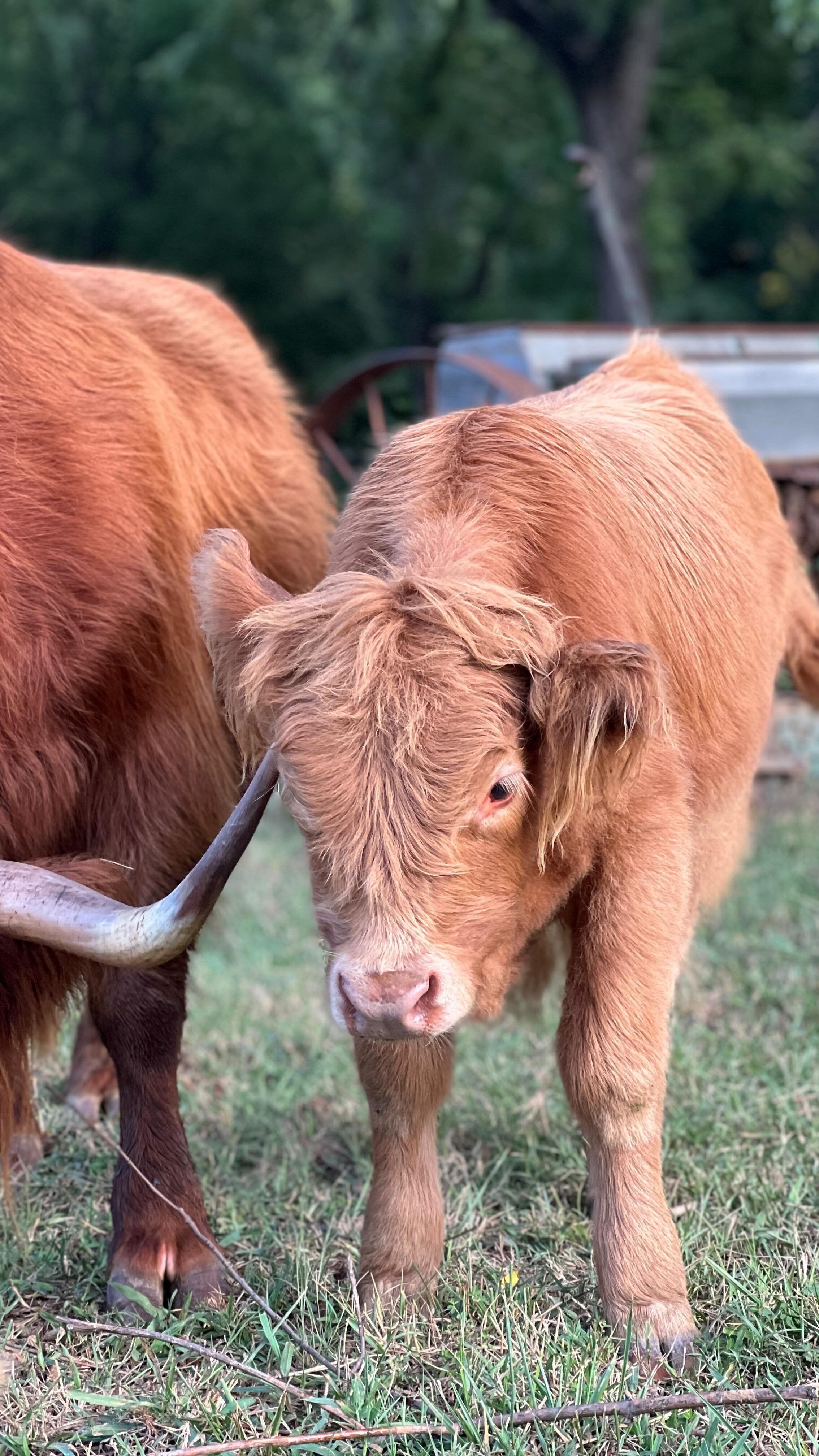 Wedding Guests of Spain Ranch-SPAIN RANCH