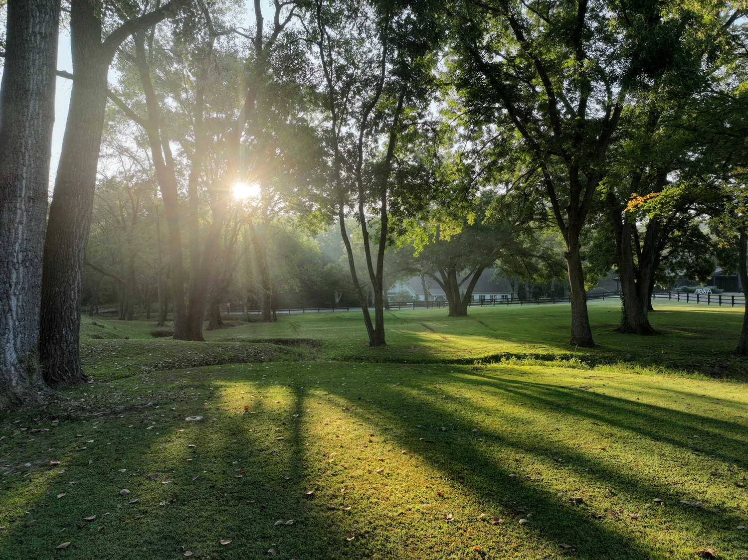 Spain Ranch Landscape-SPAIN RANCH