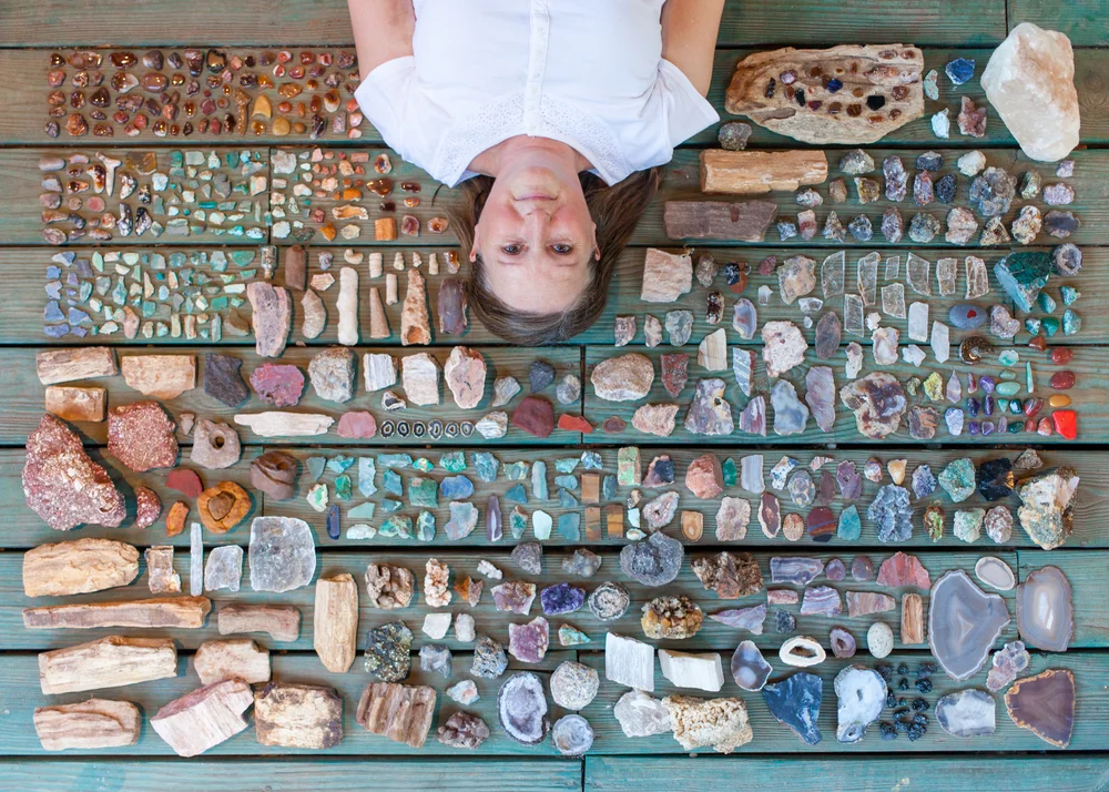 the collection collection — emily blincoe