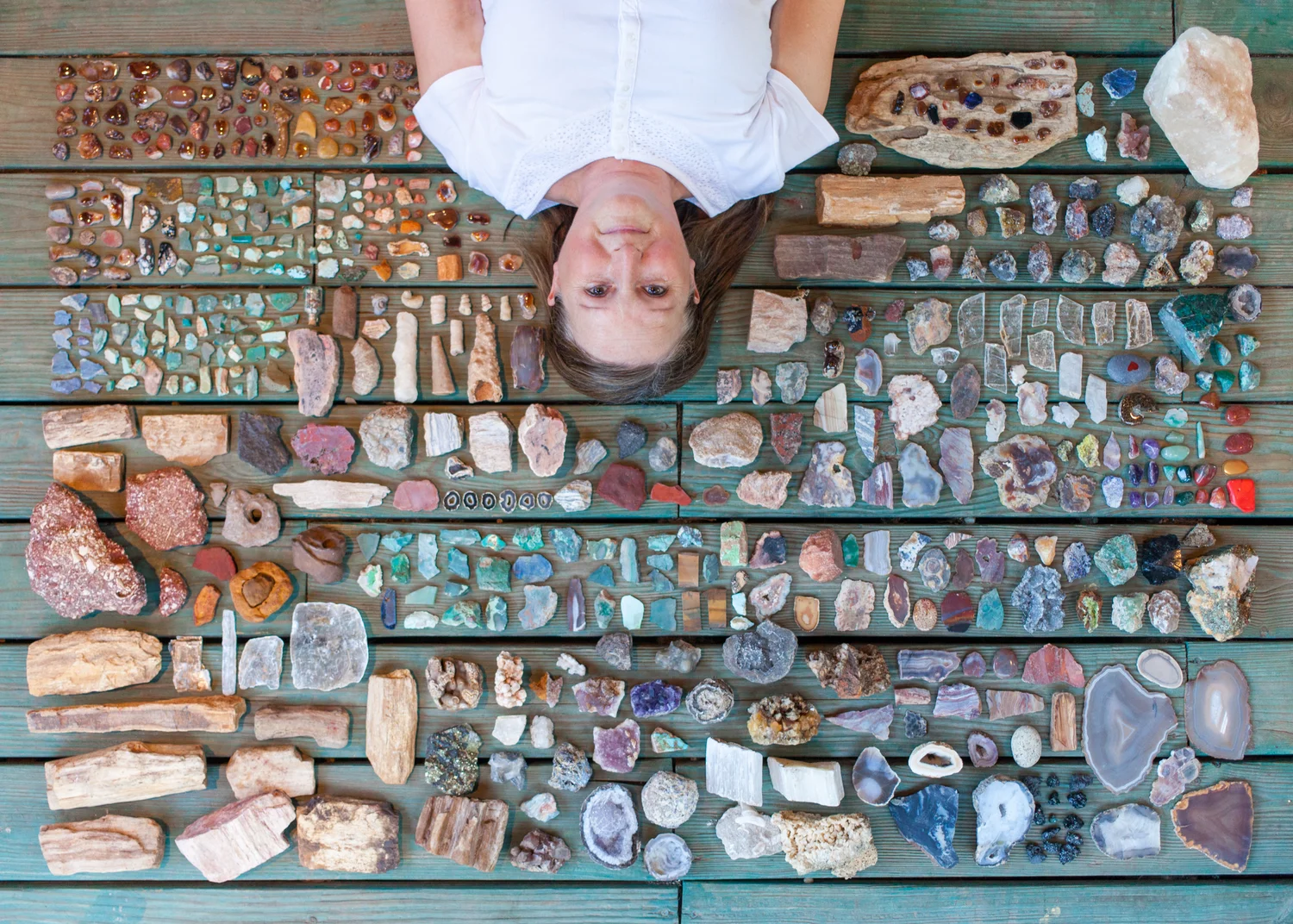 the collection collection — emily blincoe