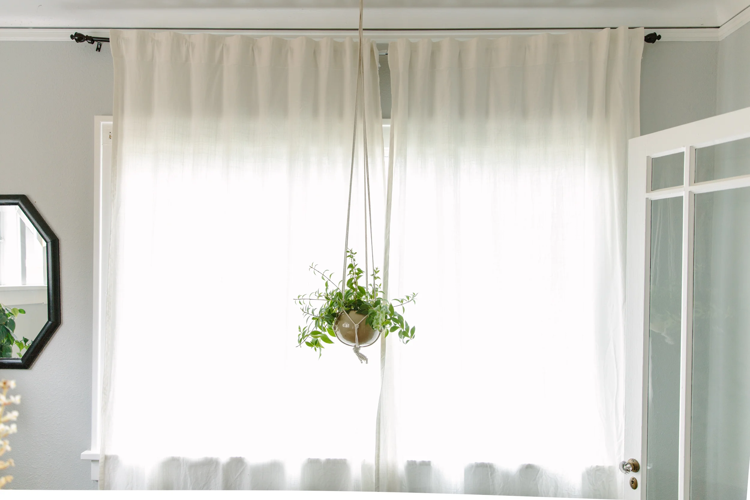 pledge — emily blincoe