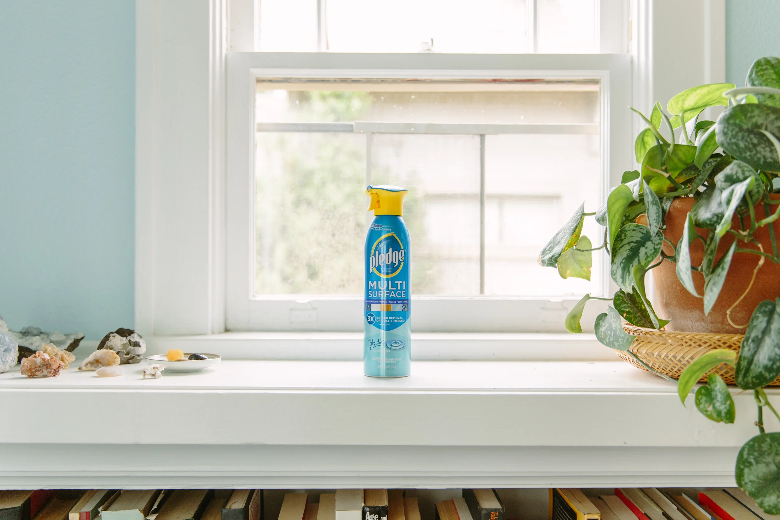 pledge — emily blincoe