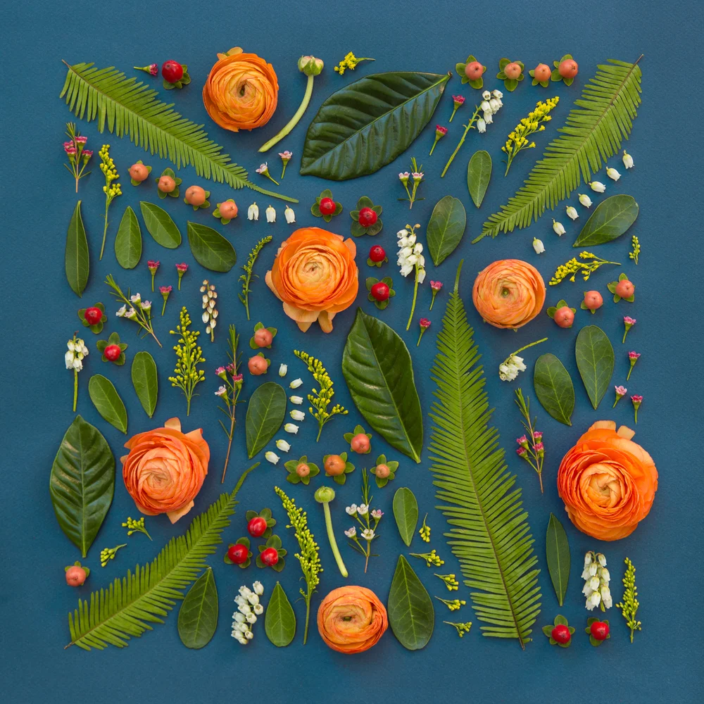 deconstructed bouquet — emily blincoe