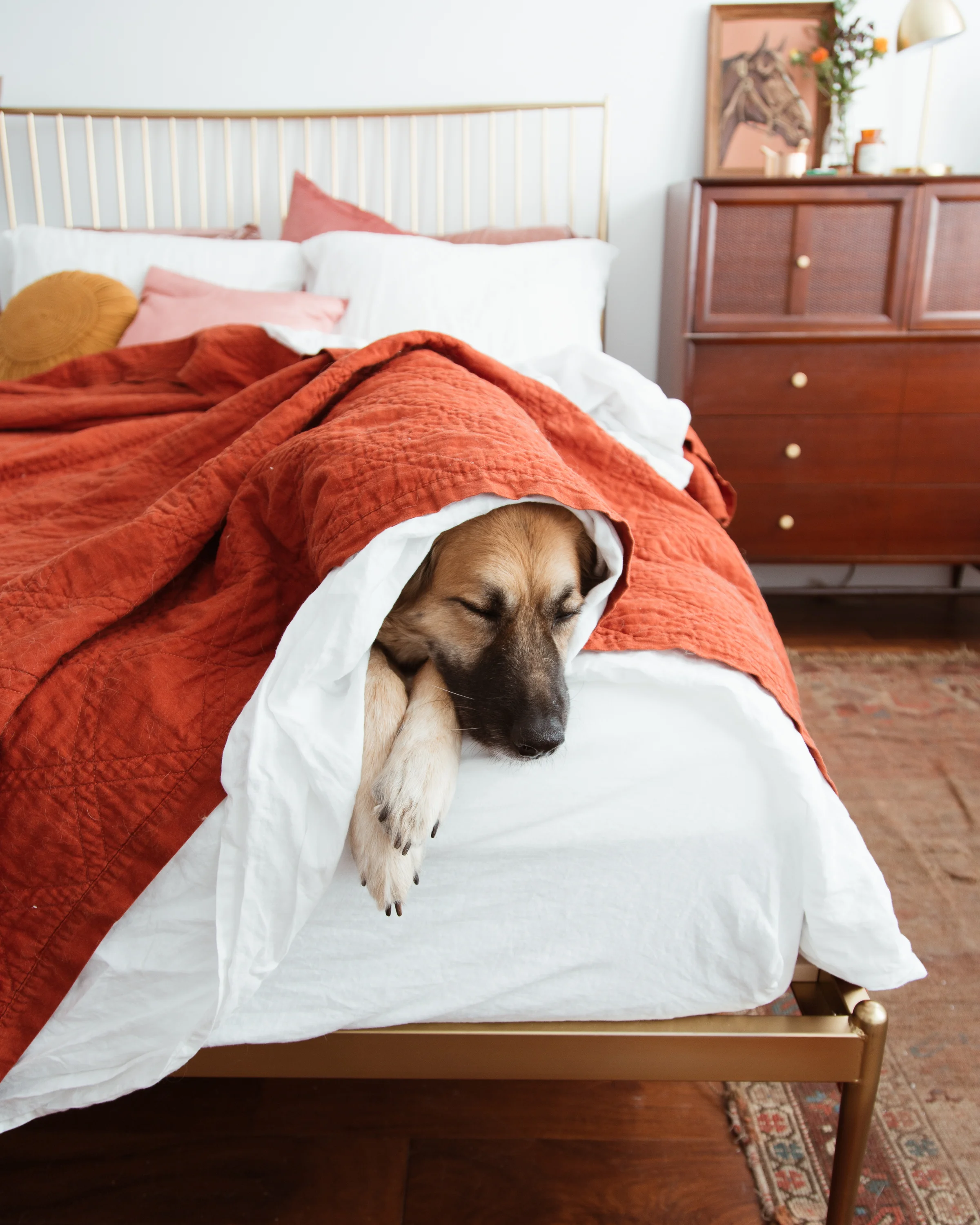 home sweet home — emily blincoe