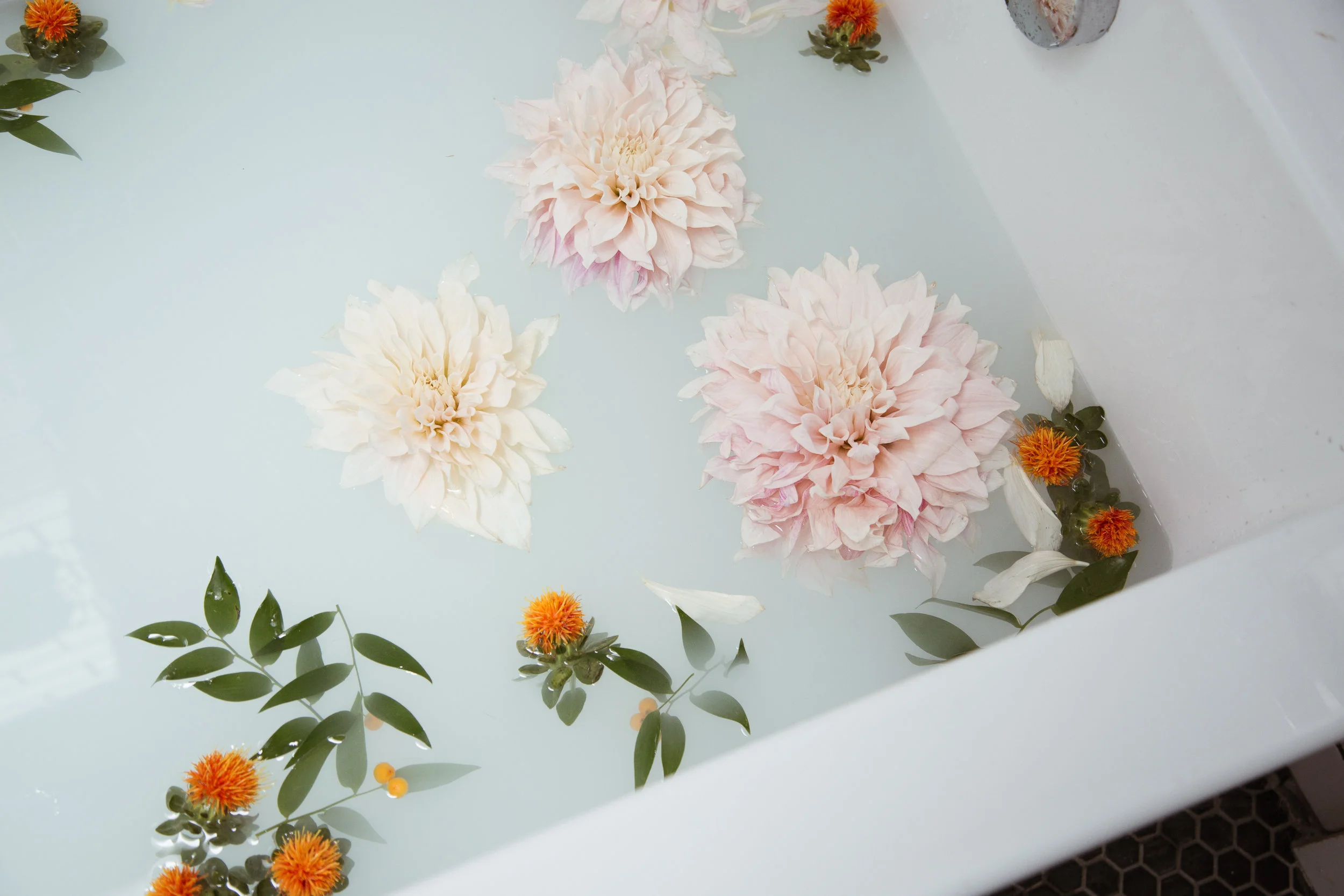 home sweet home — emily blincoe