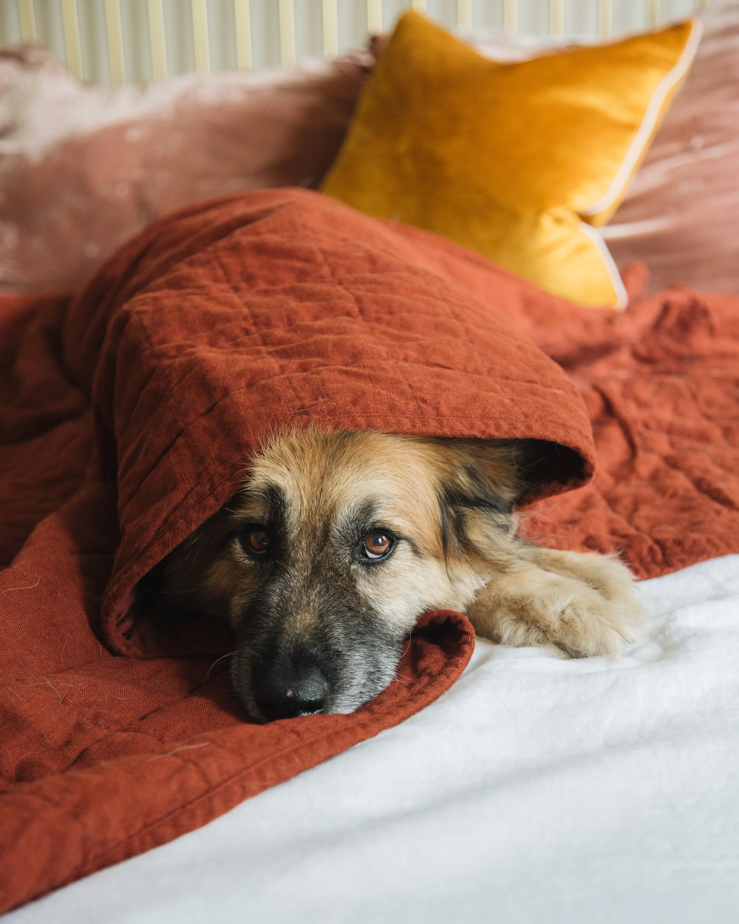 blog — emily blincoe