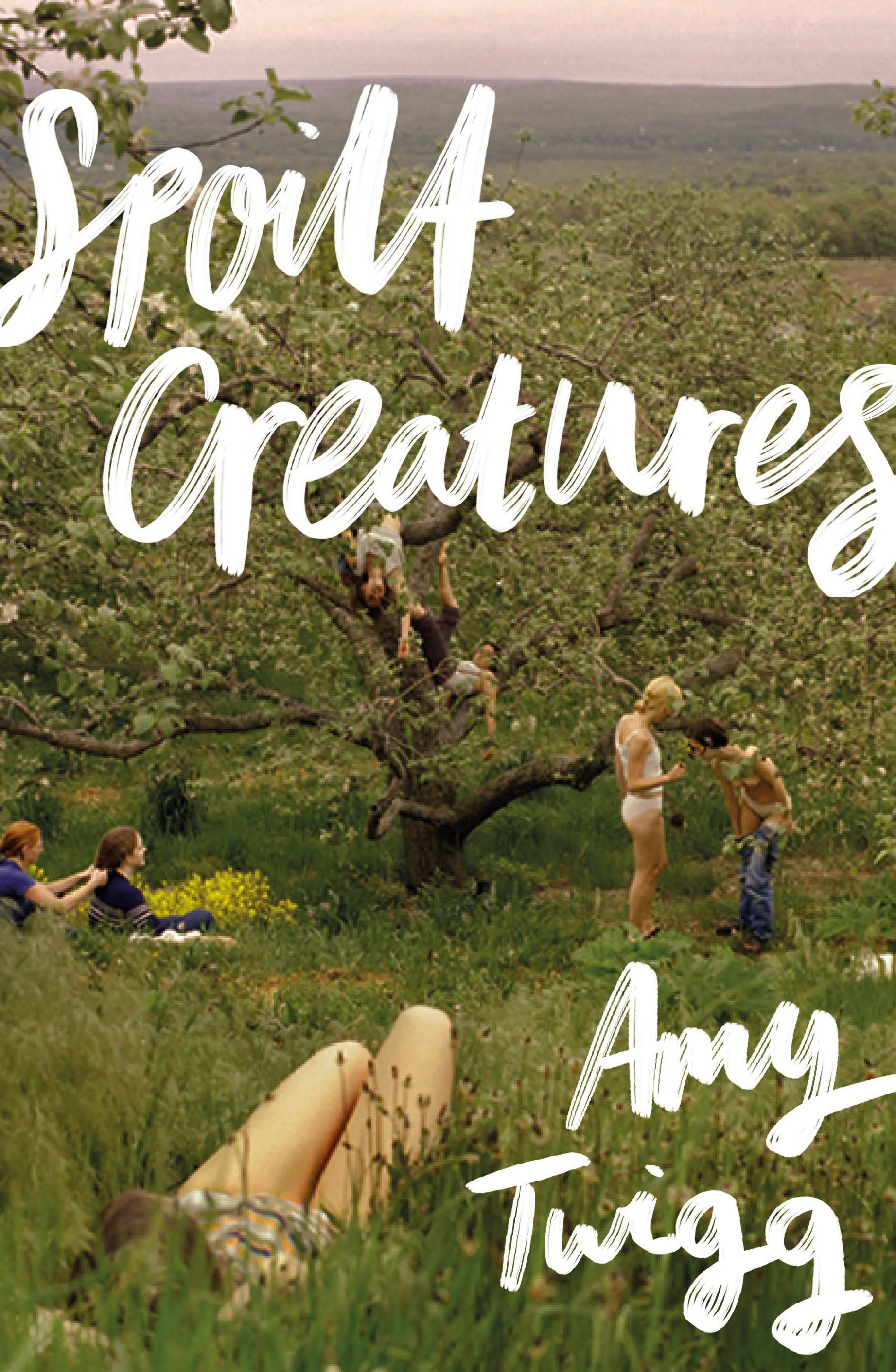 Twigg, Amy — Johnson & Alcock