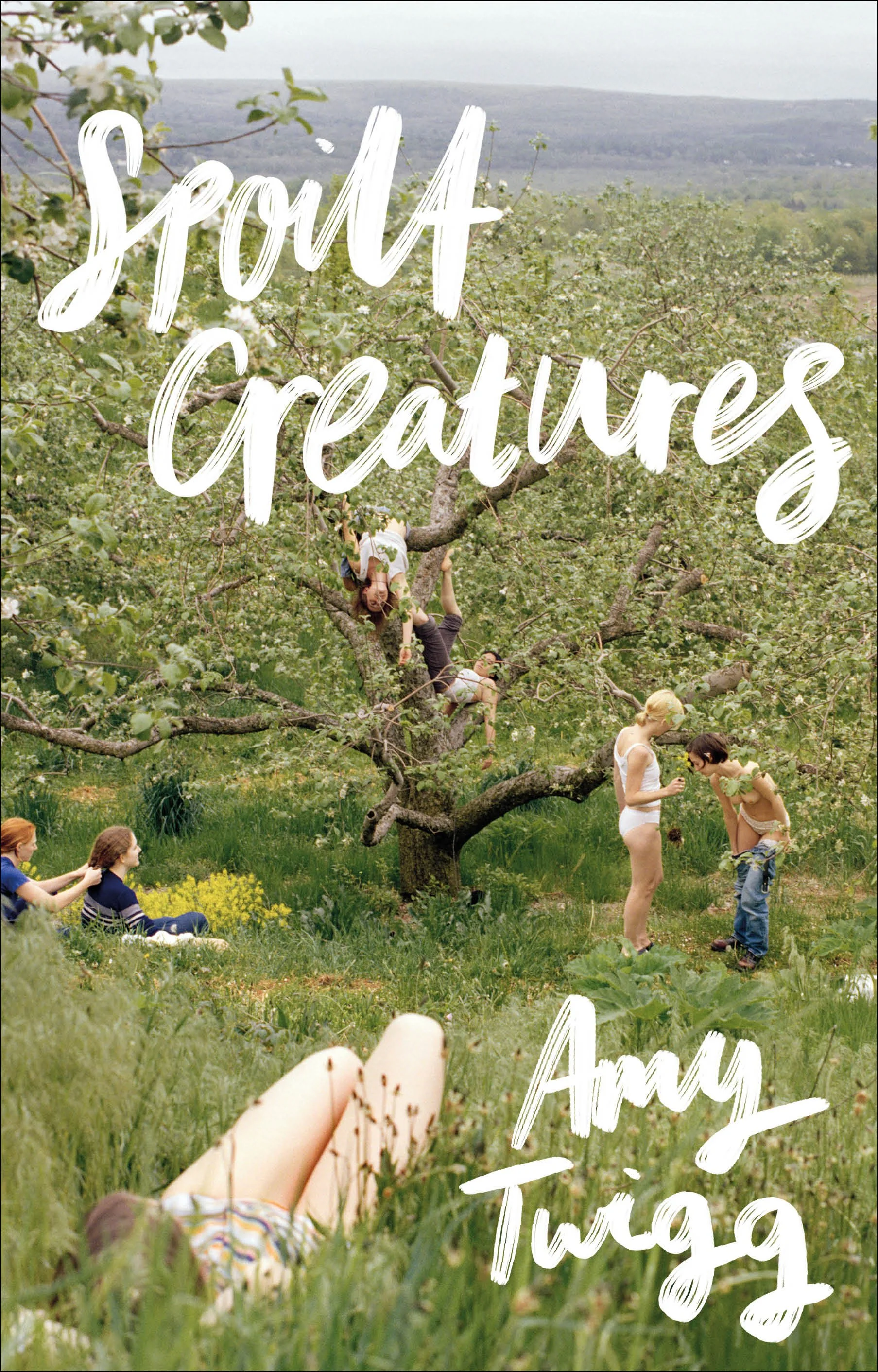 Twigg, Amy — Johnson & Alcock