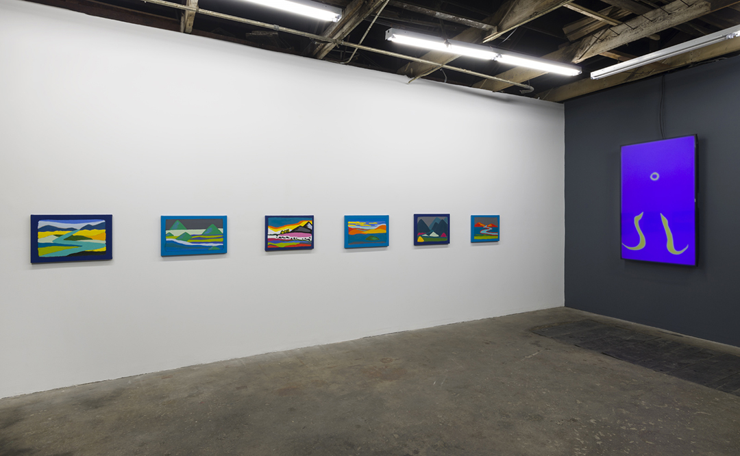 Stanya Kahn — THE PIT