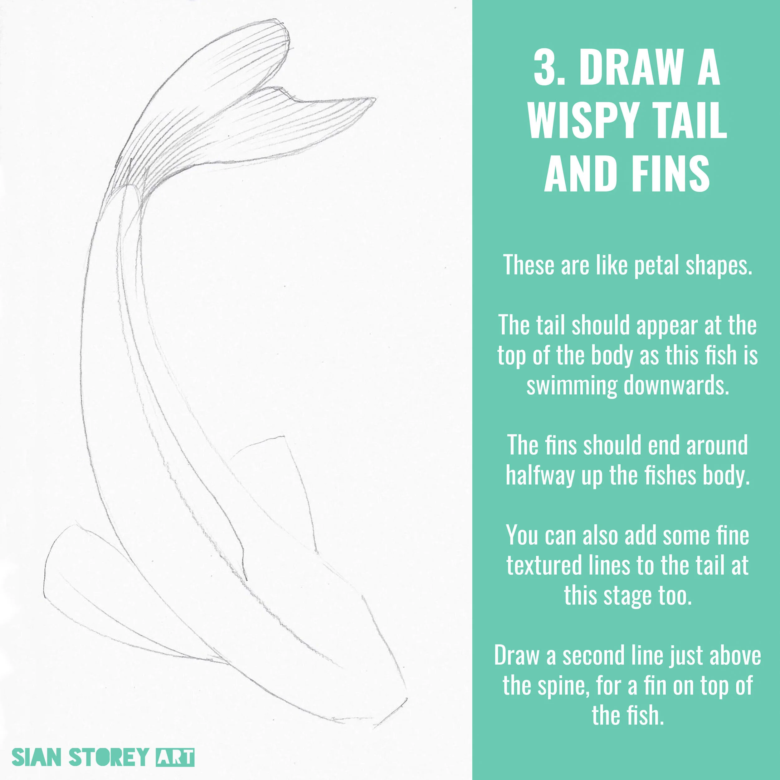 How To Draw Koi Fish From Above