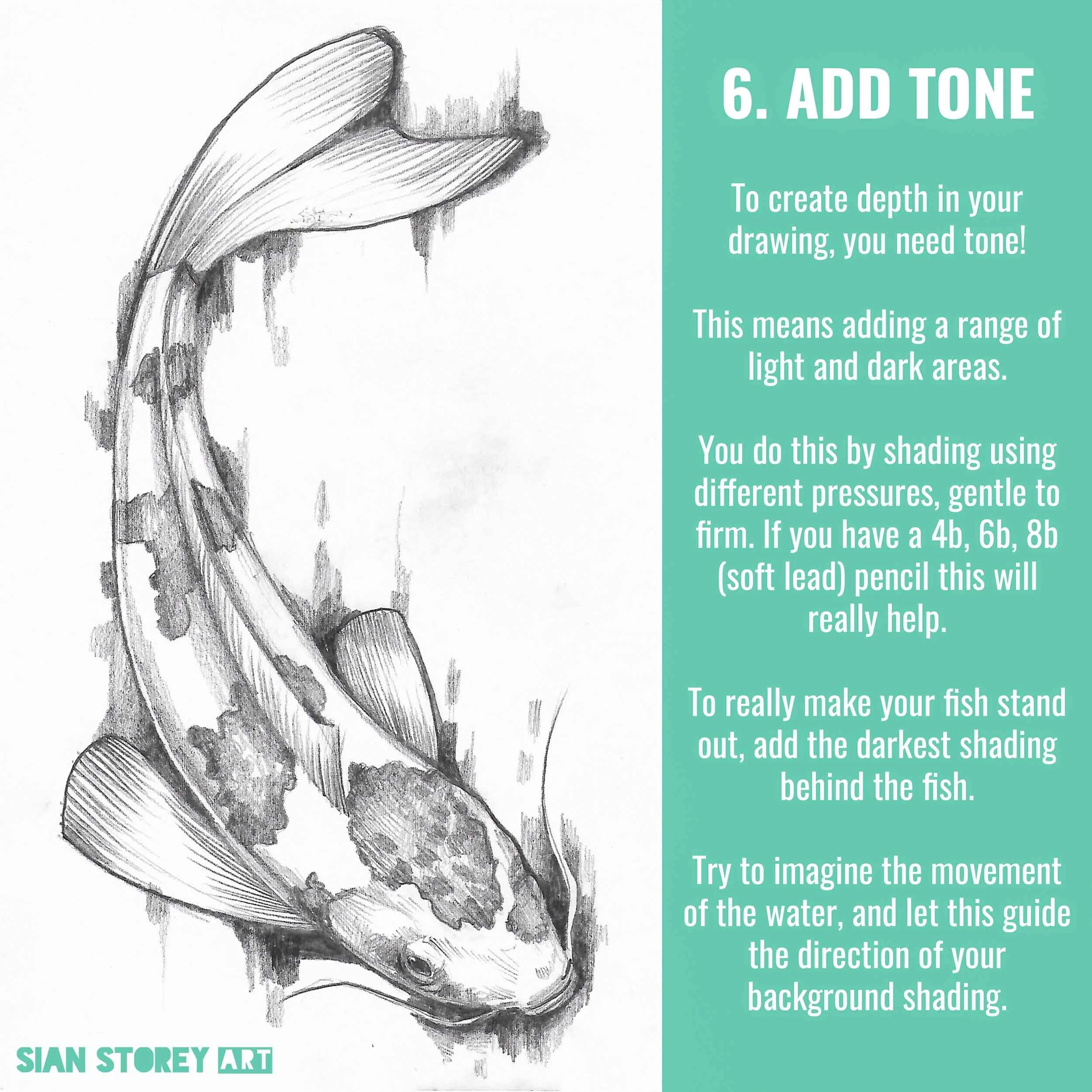 How To Draw A Coy Fish Step By Step
