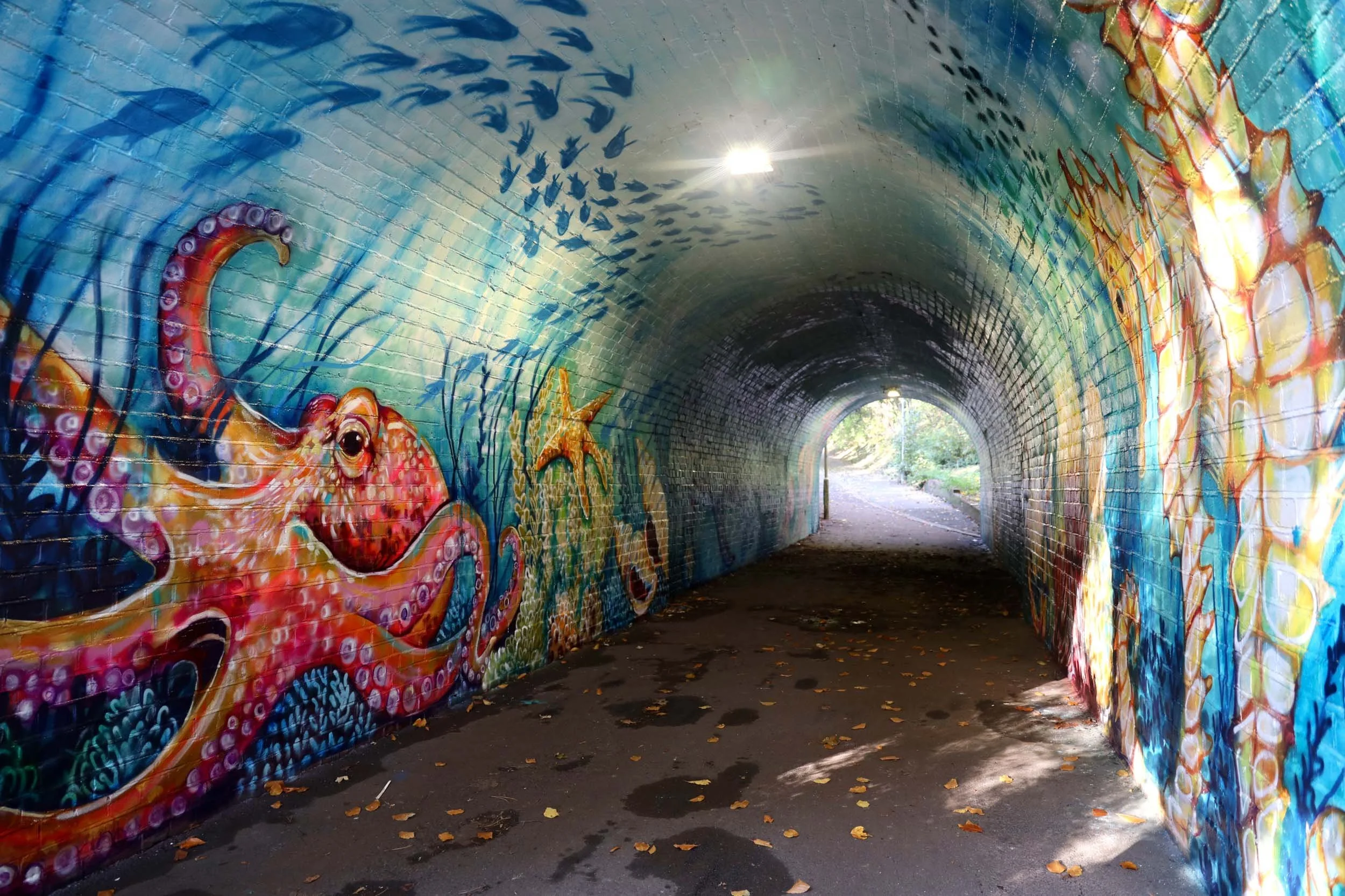 Underwater tunnel — Sian Storey Art