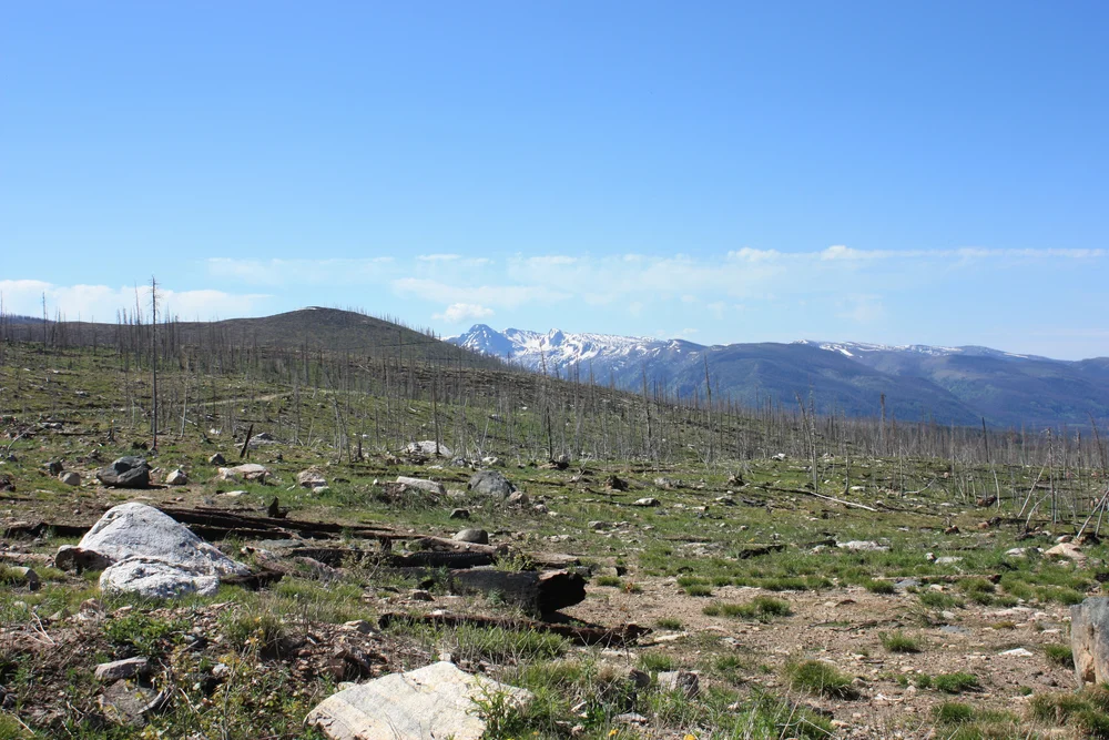 Brian Buma: Conservation Science and Exploration