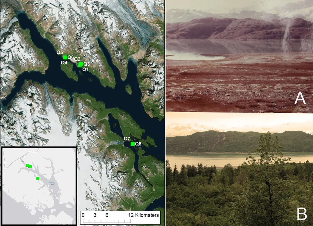 Plant community succession over 100 years — Brian Buma: Conservation ...