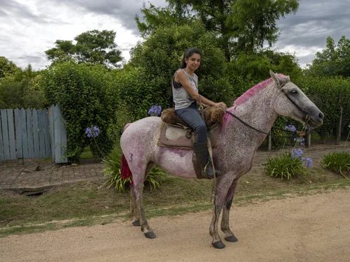projects — Jessica Segall