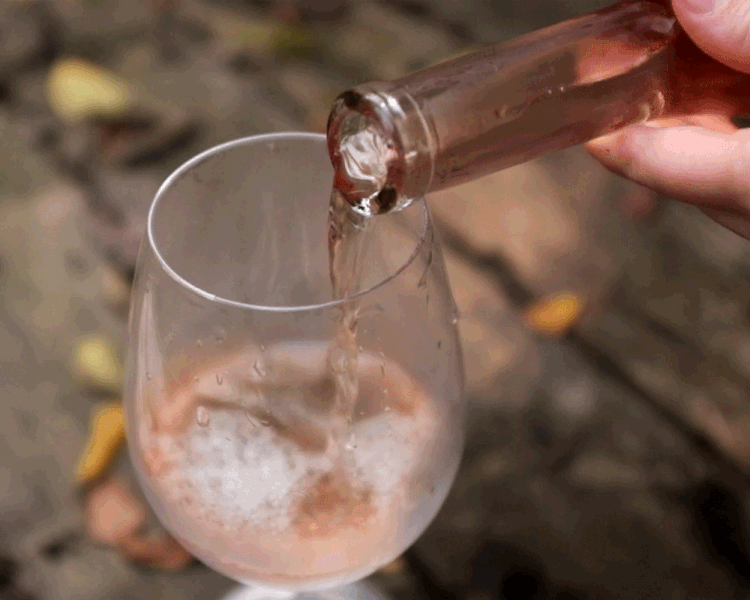 Cinemagraphs - Whitney Cole — Whitney Cole