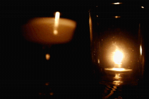 Cinemagraphs - Whitney Cole — Whitney Cole