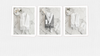 1Concier (T-Y Group, Harbor Linen, Riegel Linen) — Exphore, Expo ...