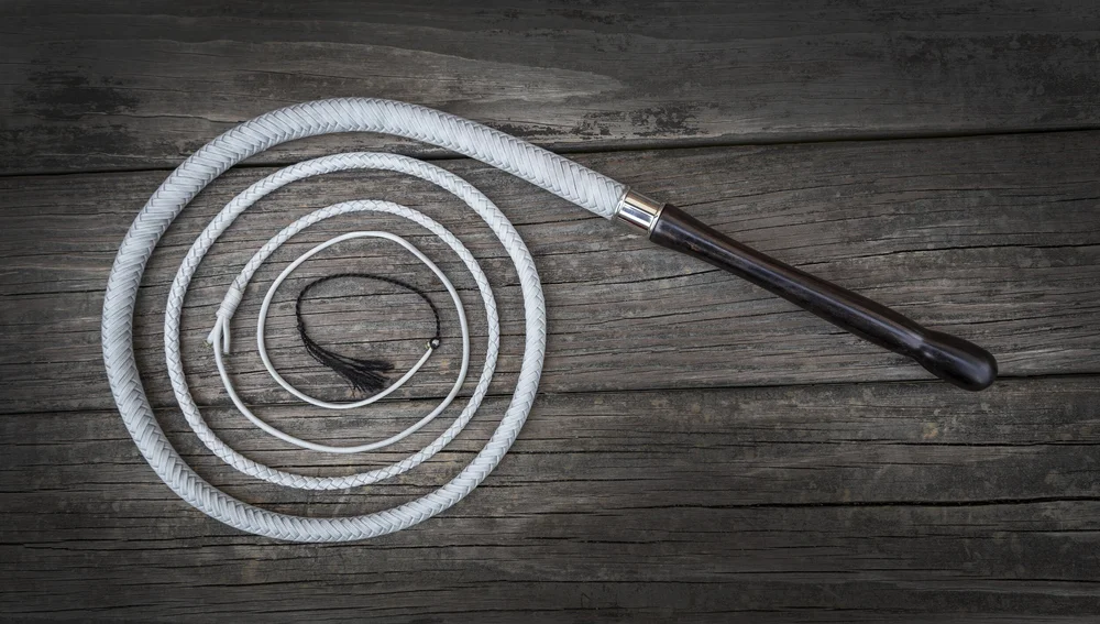 Wooden Handle Nylon Bullwhips — Nick's Whip Shop