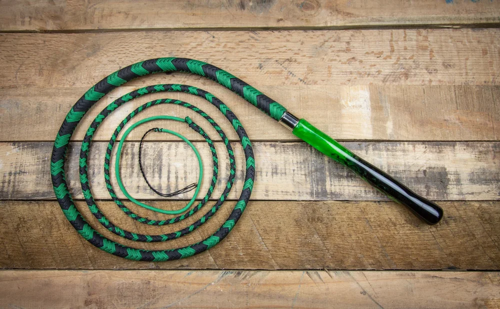 Whips in Stock — Nick's Whip Shop