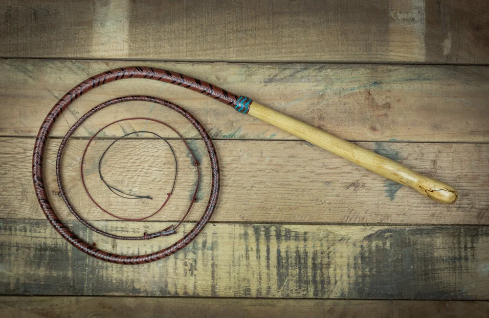 Whips in Stock — Nick's Whip Shop