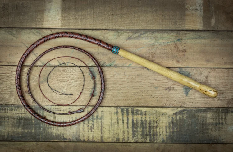 Whips in Stock — Nick's Whip Shop