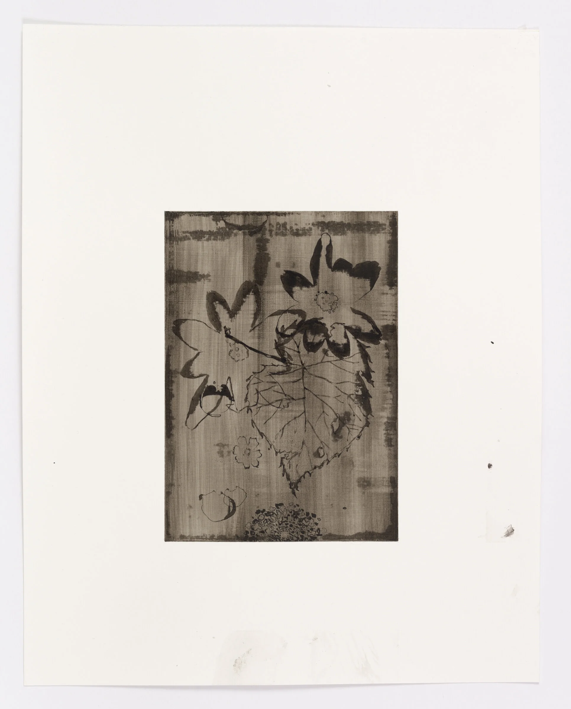 JEREMY STENGER | Kristen Lorello