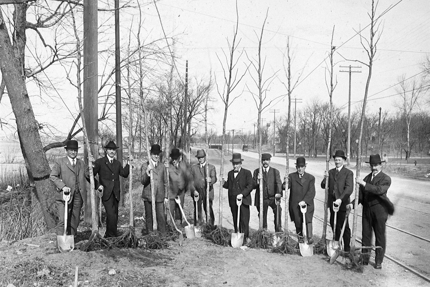 Trees — James Urban