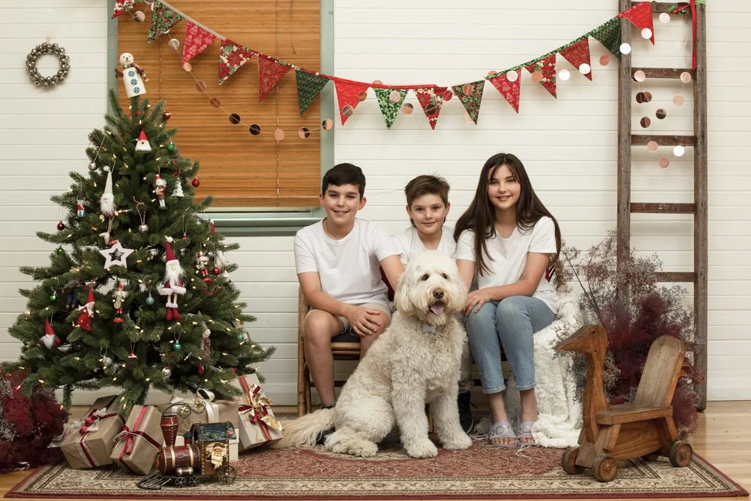 Christmas Mini Photo Sessions 2023 in Surry Hills — RICHARD HEDGER ...