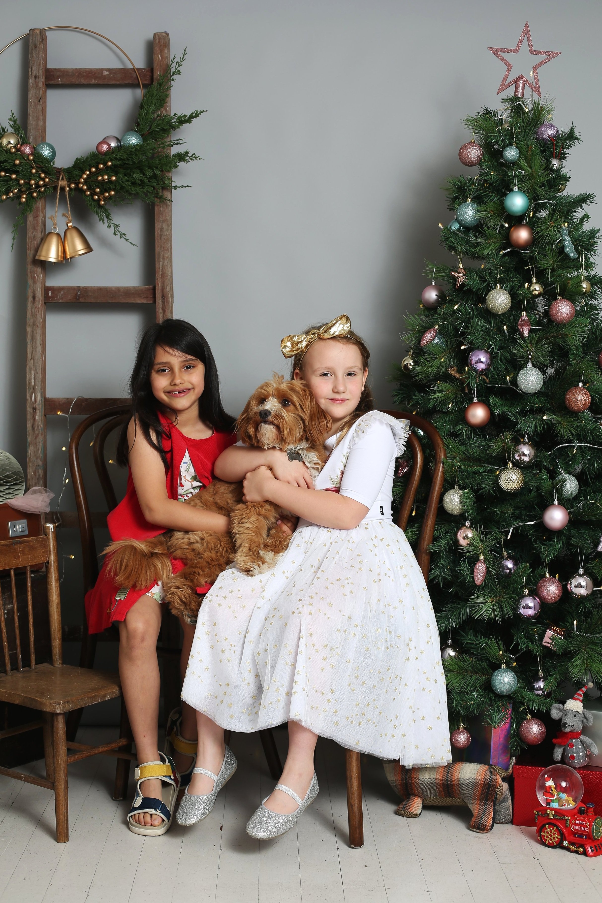 Christmas Mini Photo Sessions 2023 in Surry Hills — RICHARD HEDGER ...