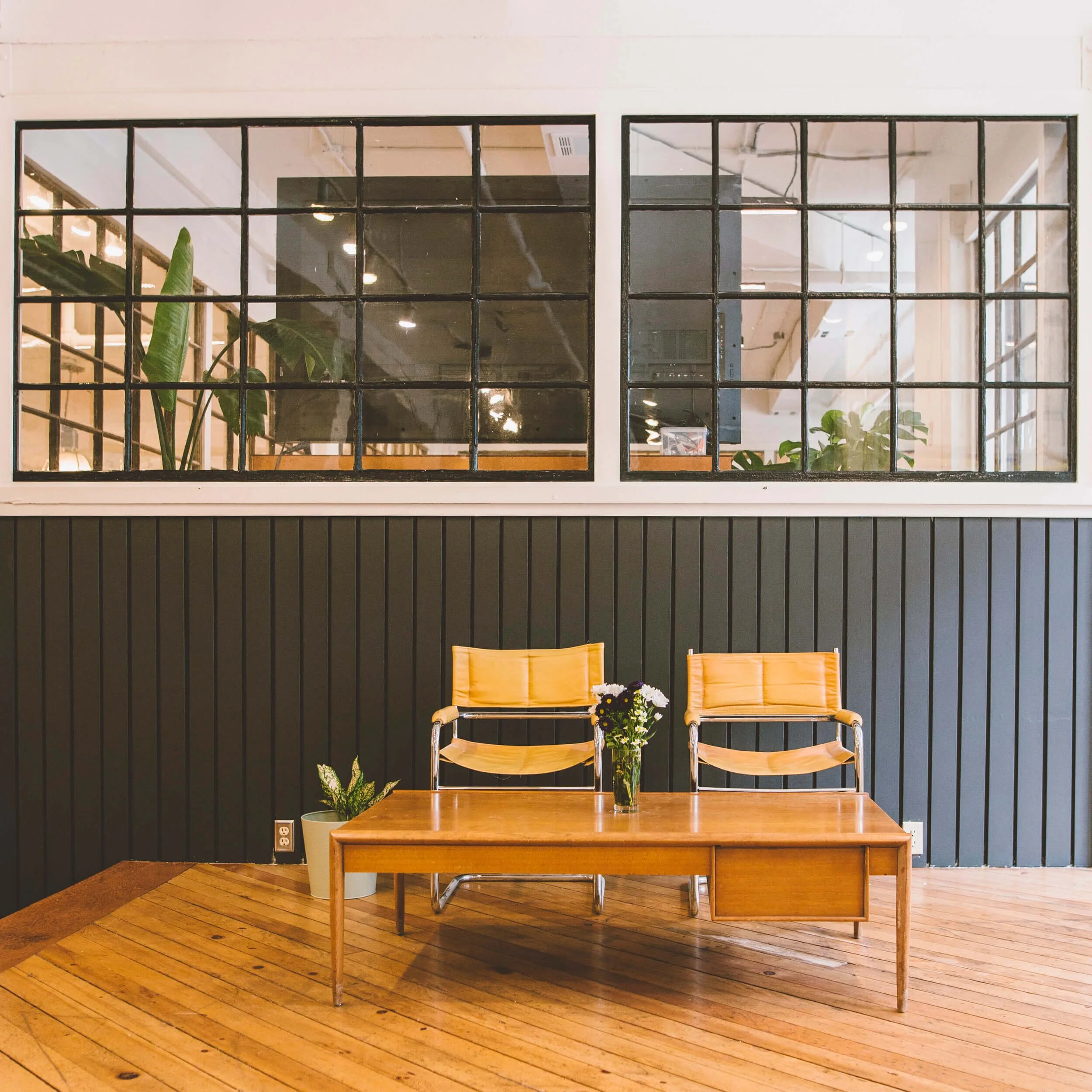 Photos - Belltown - Main Gallery | Discover and Join Today — The ...