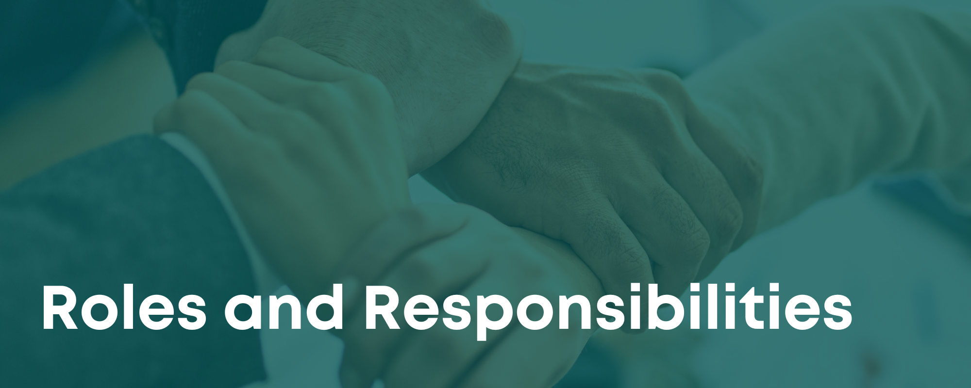 Blog Collection: Roles and Responsibilities — Nicola Askham