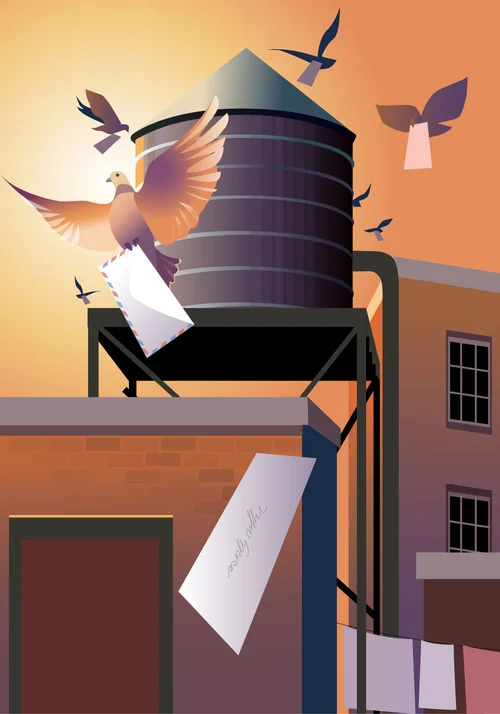 Kim Johnson Illustration and Animation