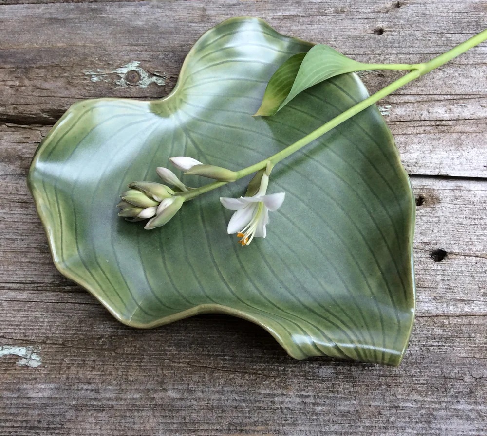 Pottery Workshops — Monika Schaefer