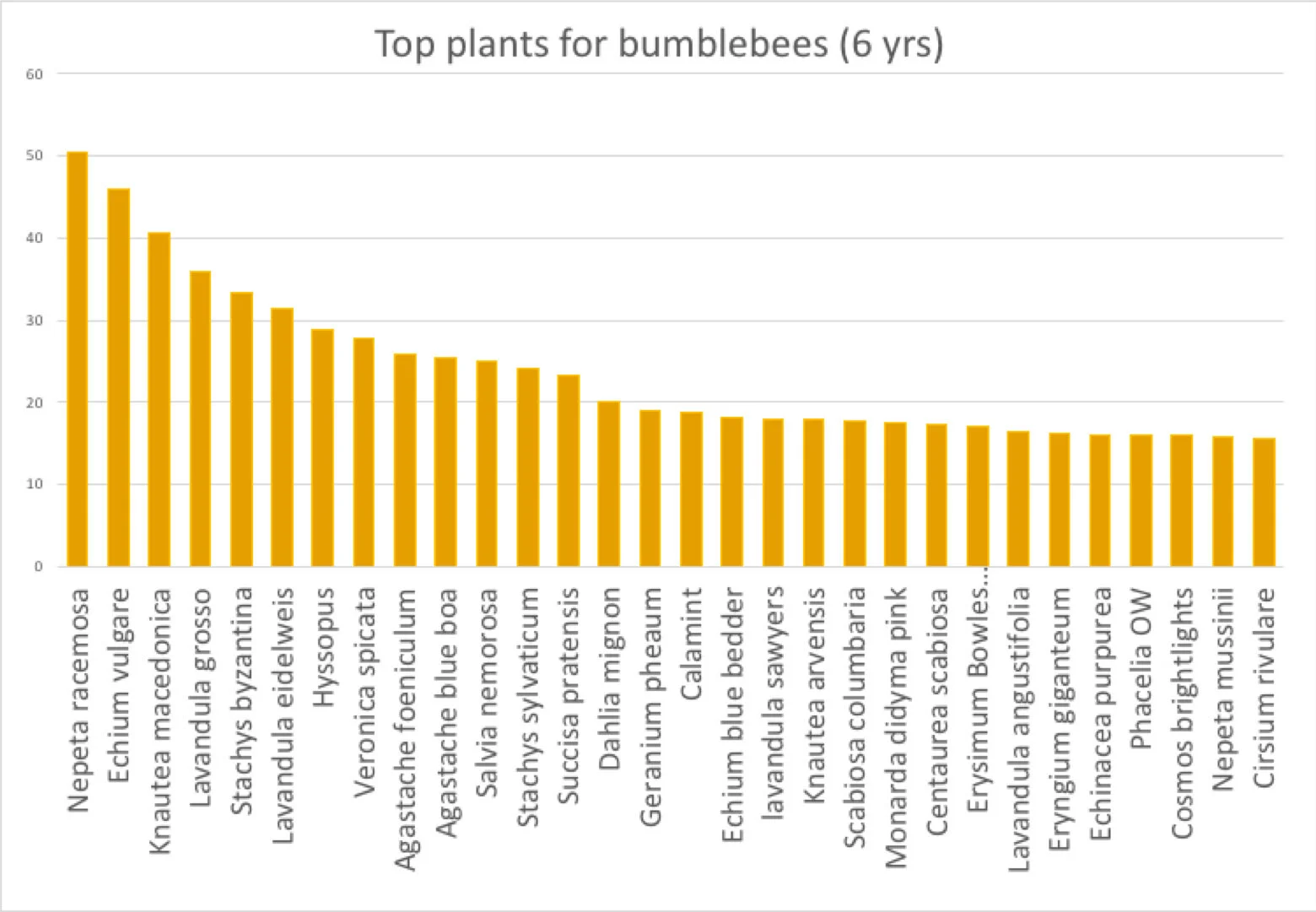 Plants for bees: 6yr study — rosybee - plants for bees