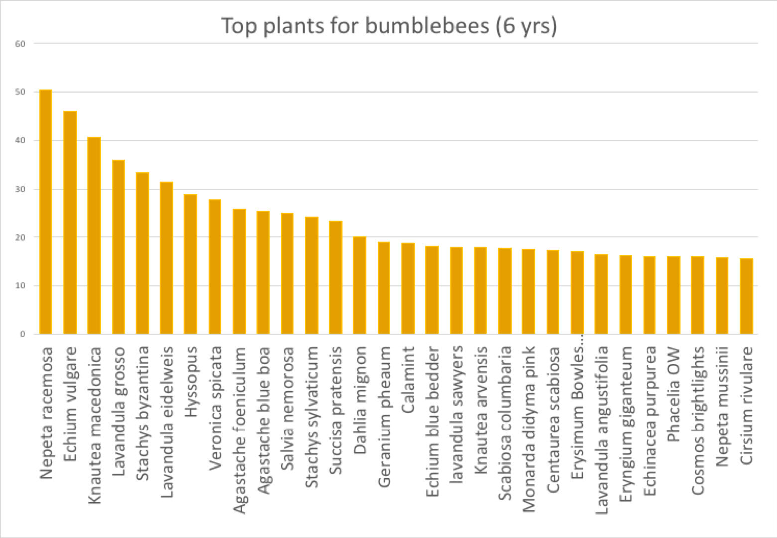 A six year study of flowers that bees actually use by rosybee ...