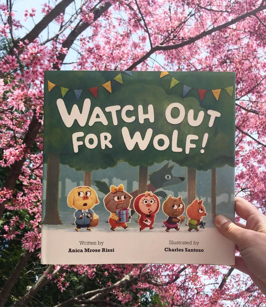 Watch Out for Wolf! — Anica Mrose Rissi