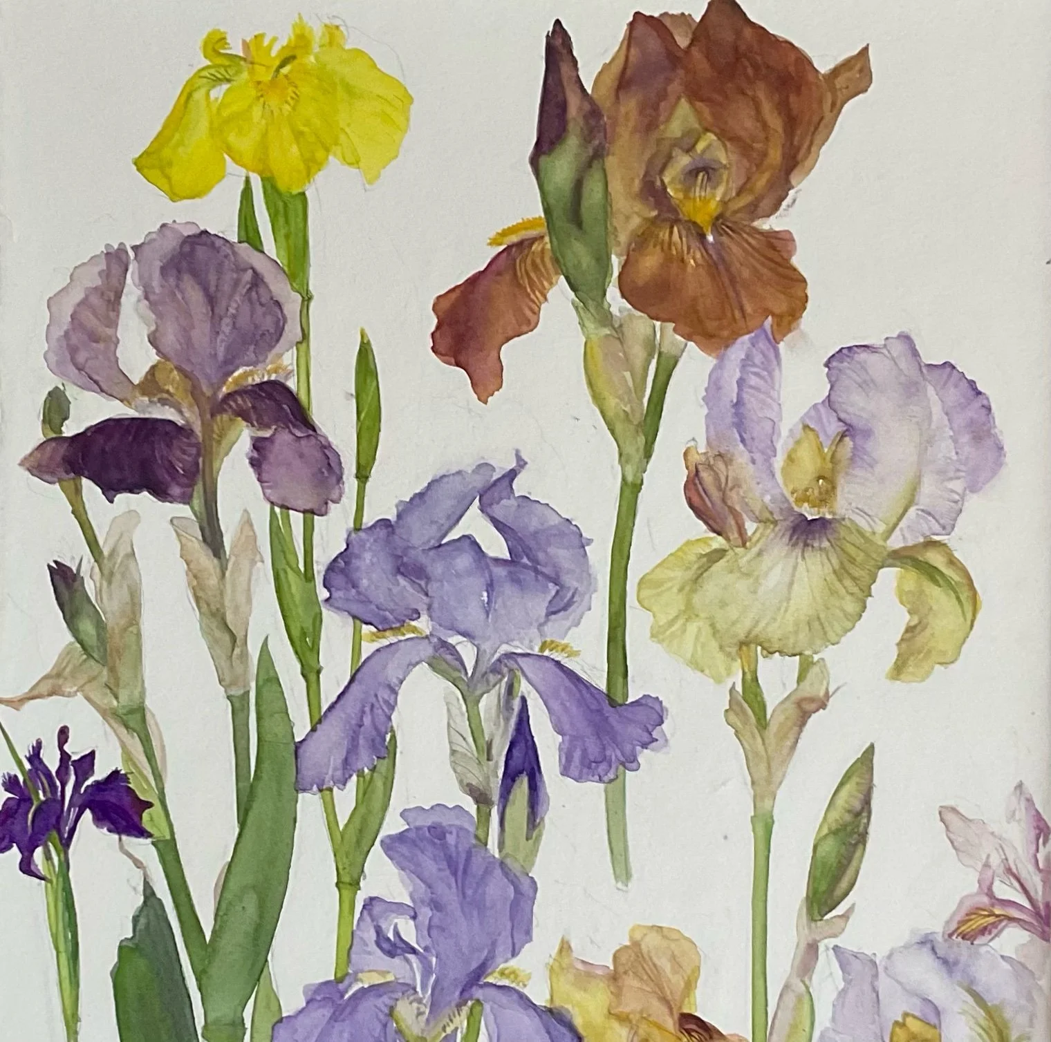 New Stock — Blondes Fine Art