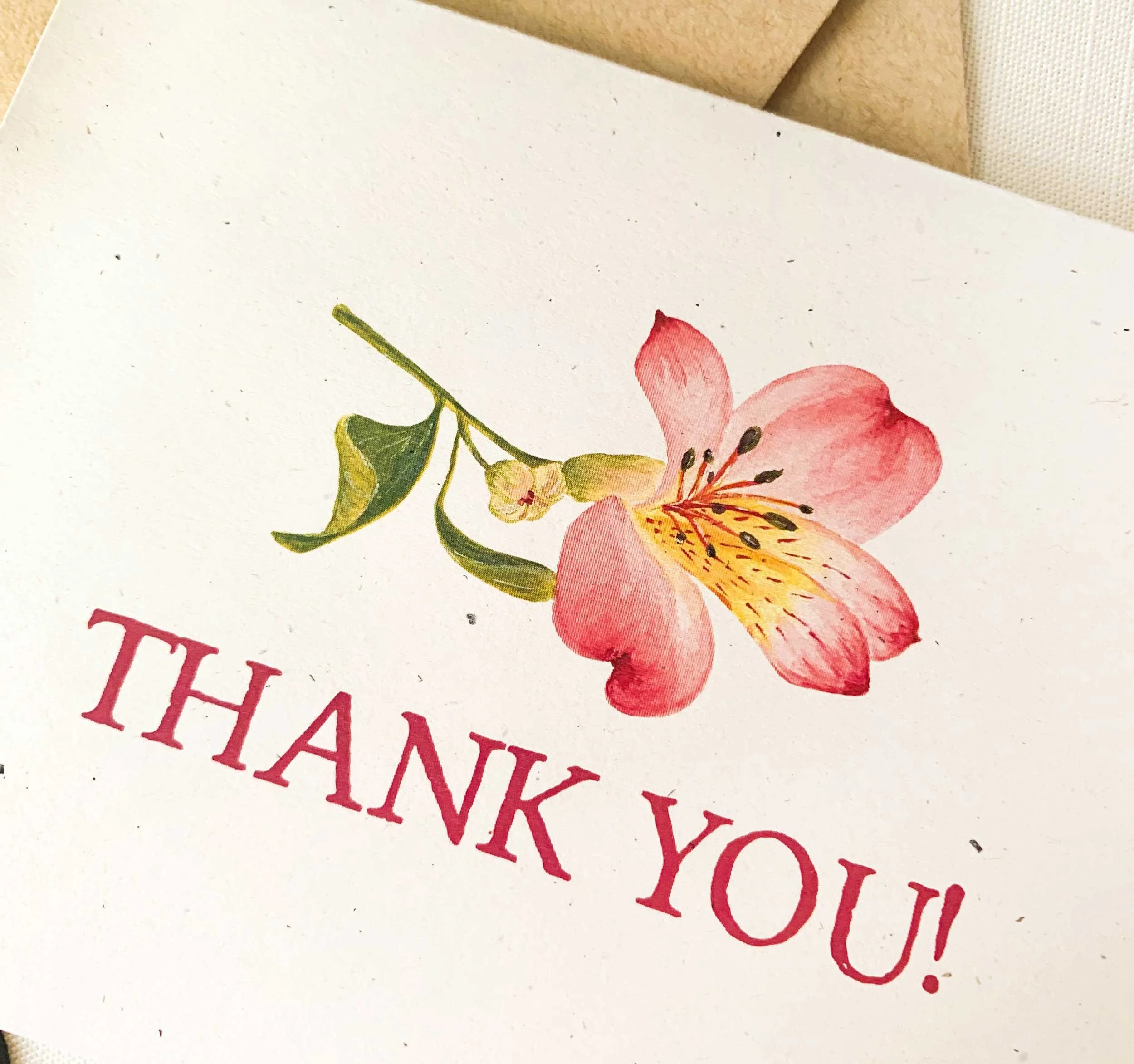 Willow Glen | Fine Eco-Friendly Stationery & Watercolors