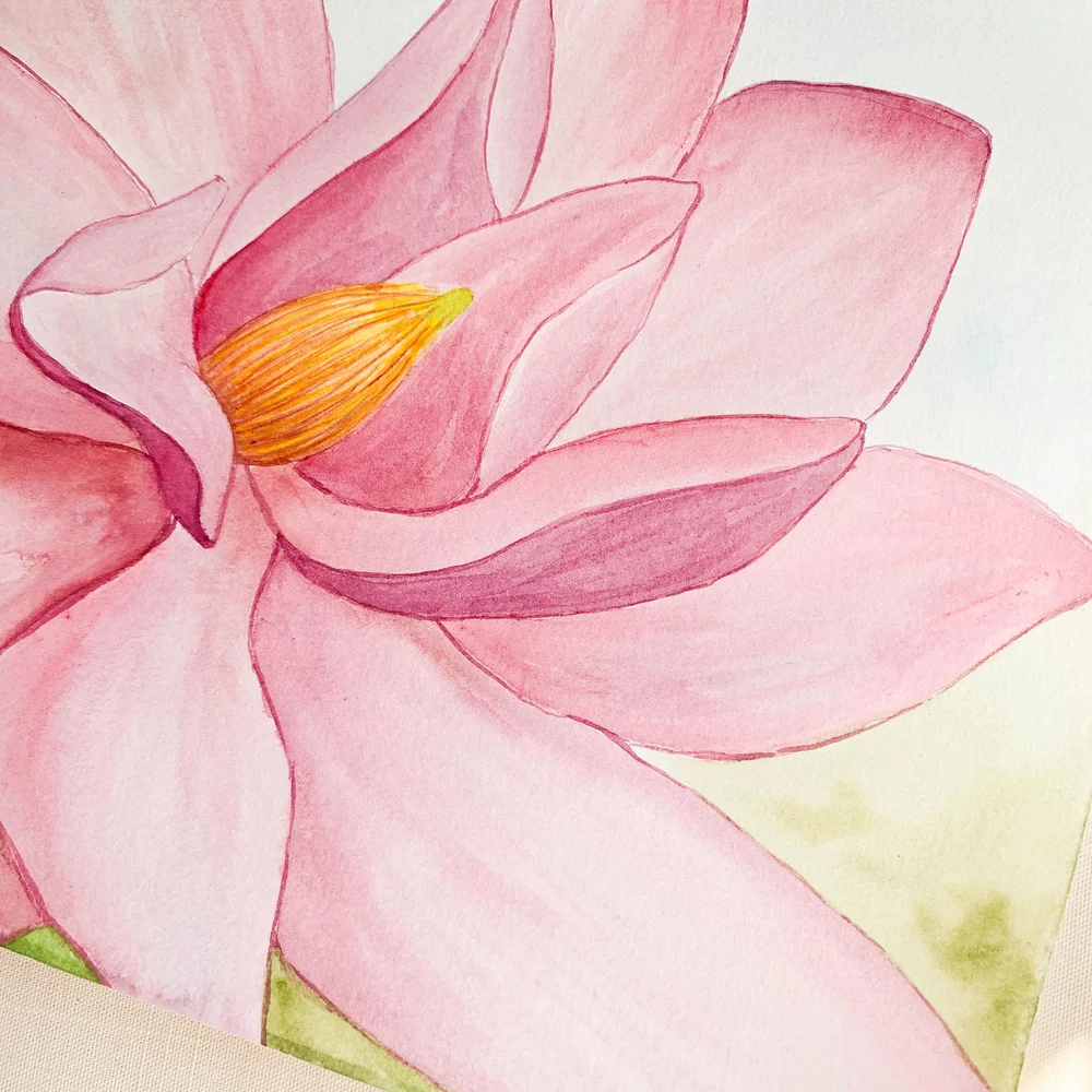 Pink Magnolia Painting